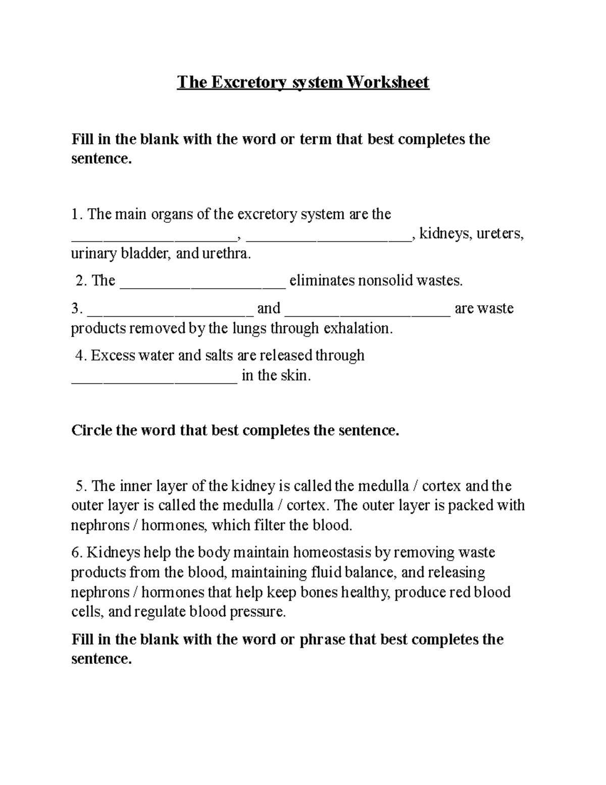 The excretory system worksheet - The Excretory system Worksheet Fill in ...