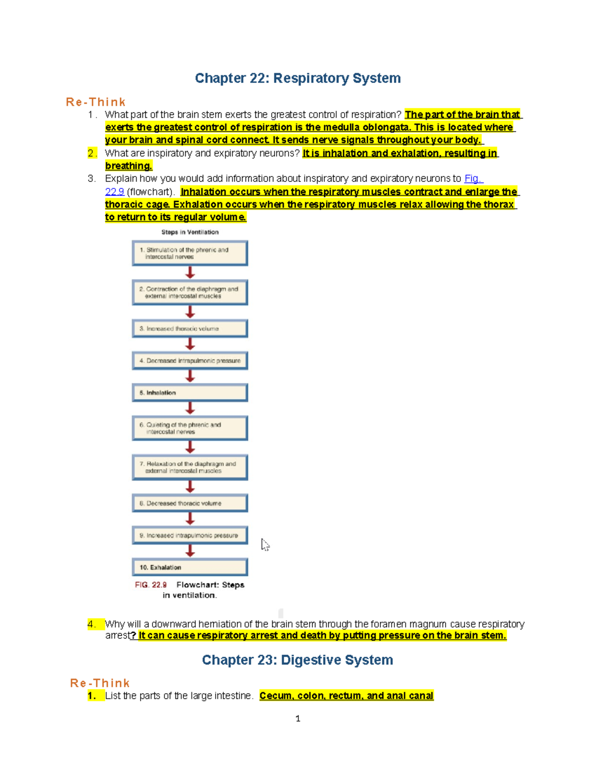 Week 5 Assignment - Overview of Respiratory, Digestive, and Urinary ...