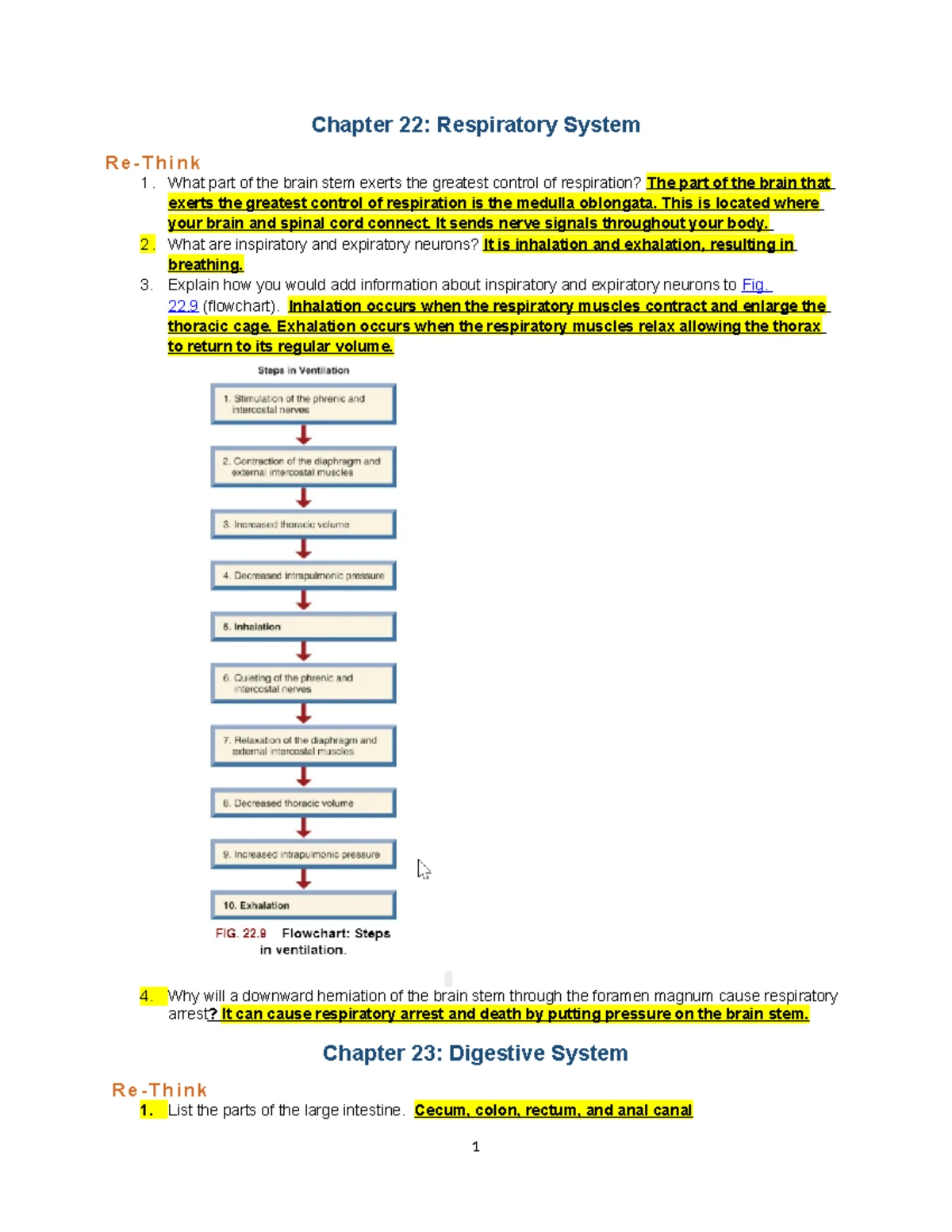 Digestive, Urinary, & Respiratory Systems Assignment (Chapters 5-11 ...