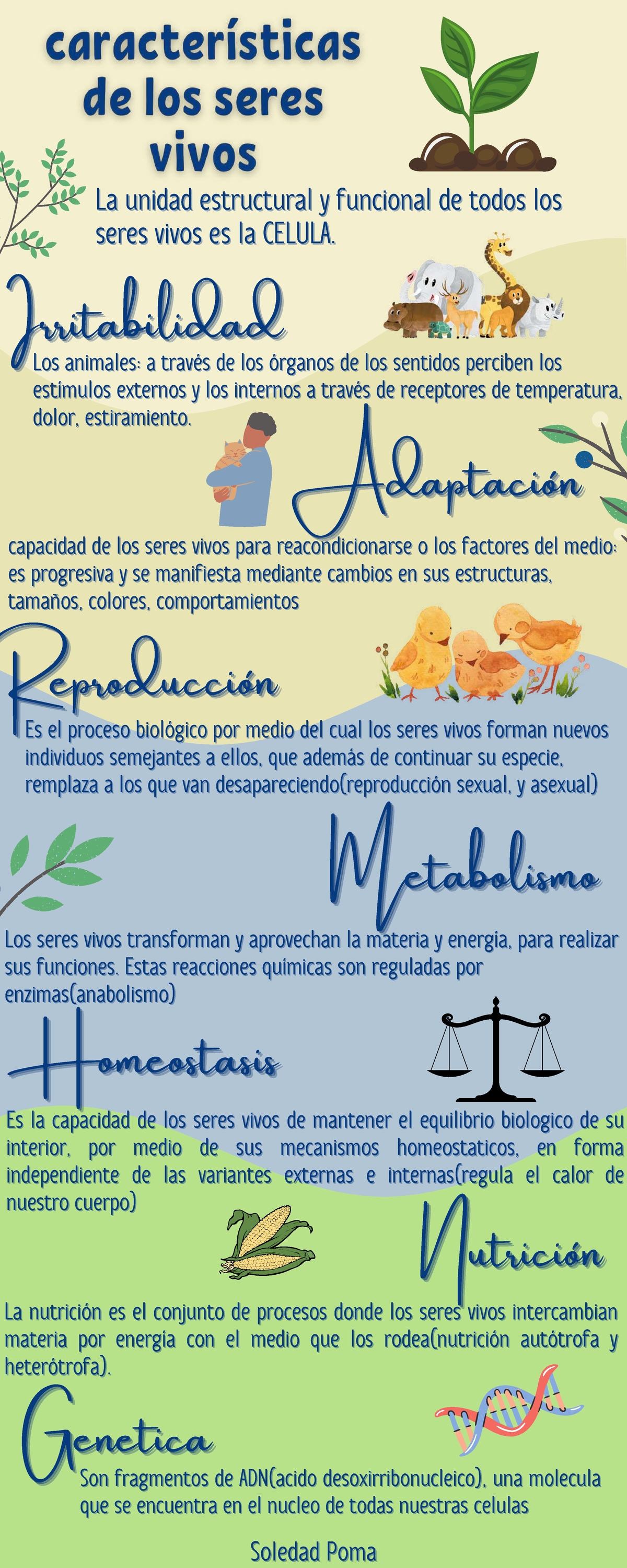 Características de los Seres Vivos: Infografía y Conceptos Clave - Studocu