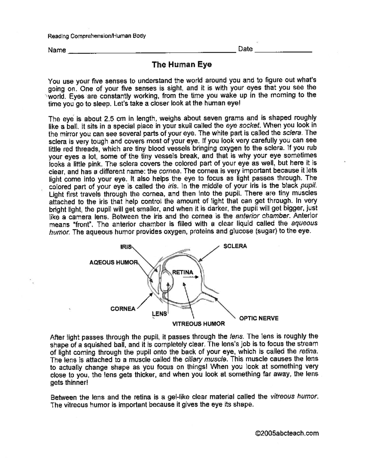 The Human Eye Worksheet - Reading Body Name Date The Human Eye You use ...