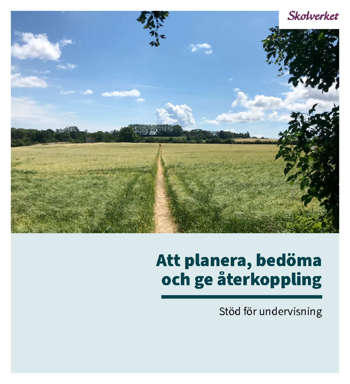 Att planera, bedöma och ge återkoppling: Stödmaterial från Skolverket ...