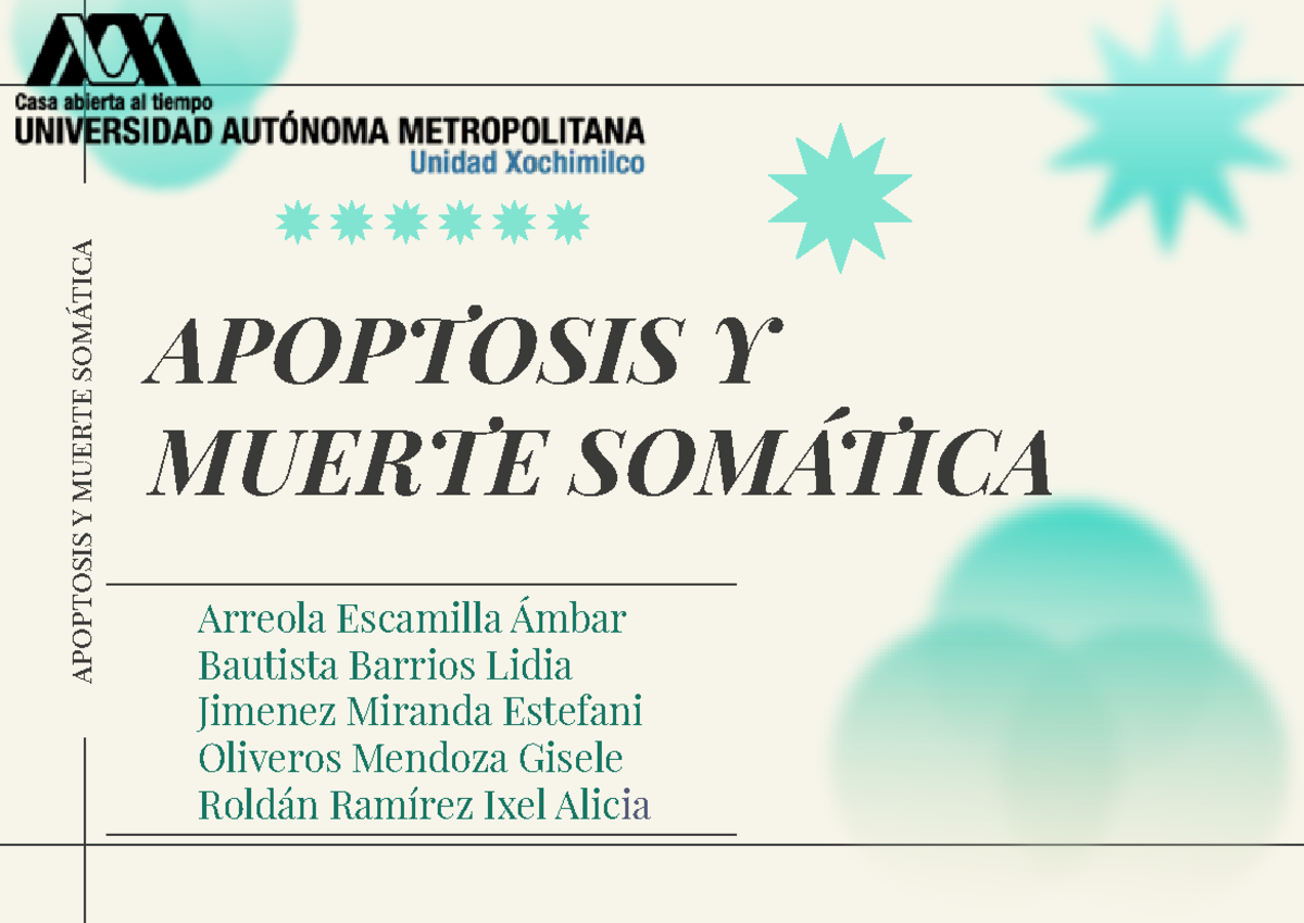 Apoptosis y Muerte Somática - APOPTOSIS Y MUERTE SOMÁTICA APOPTOSIS Y ...