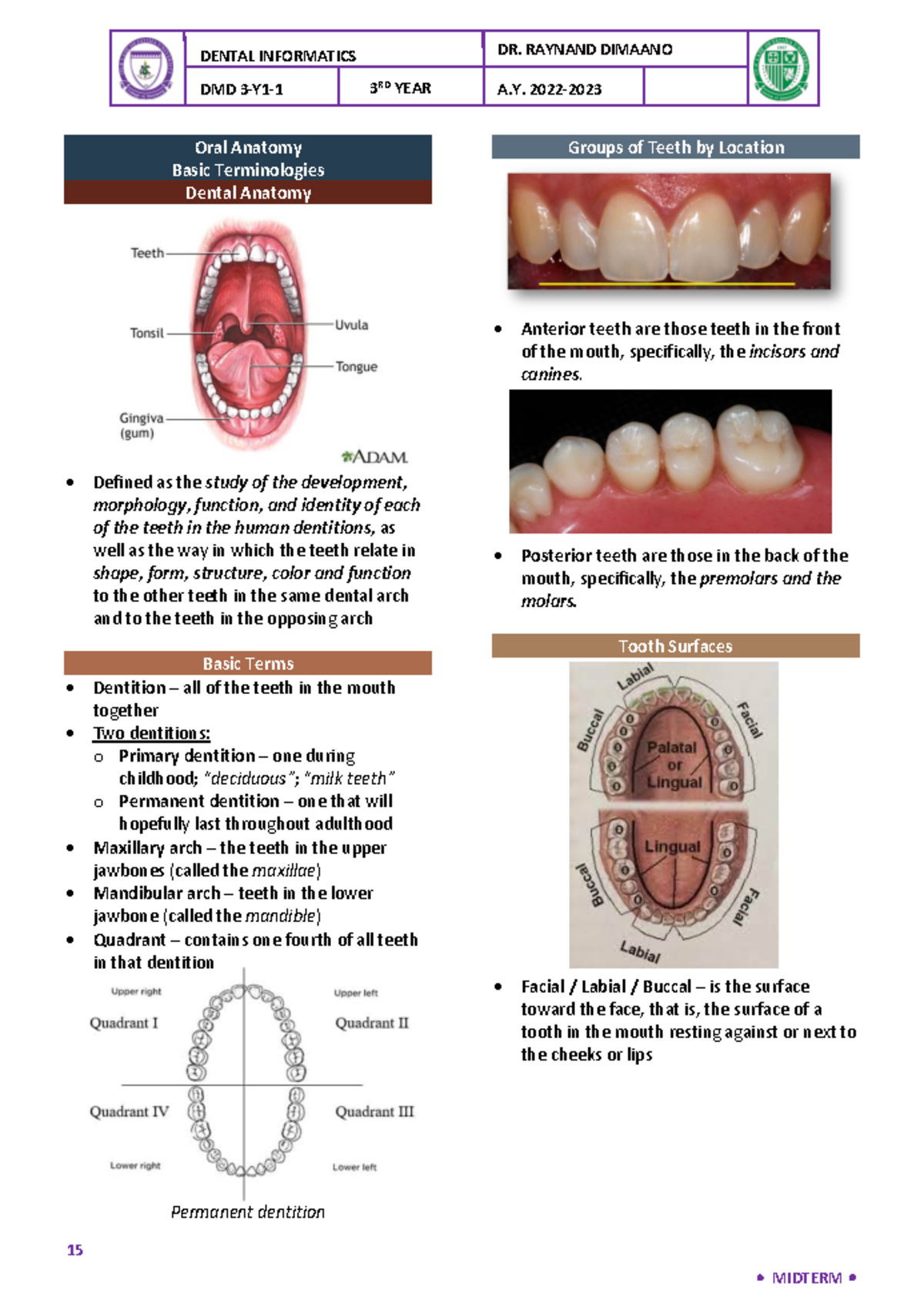 DITI311-Midterm Dentistry Notes: Oral Anatomy and Clinical Exams - Studocu