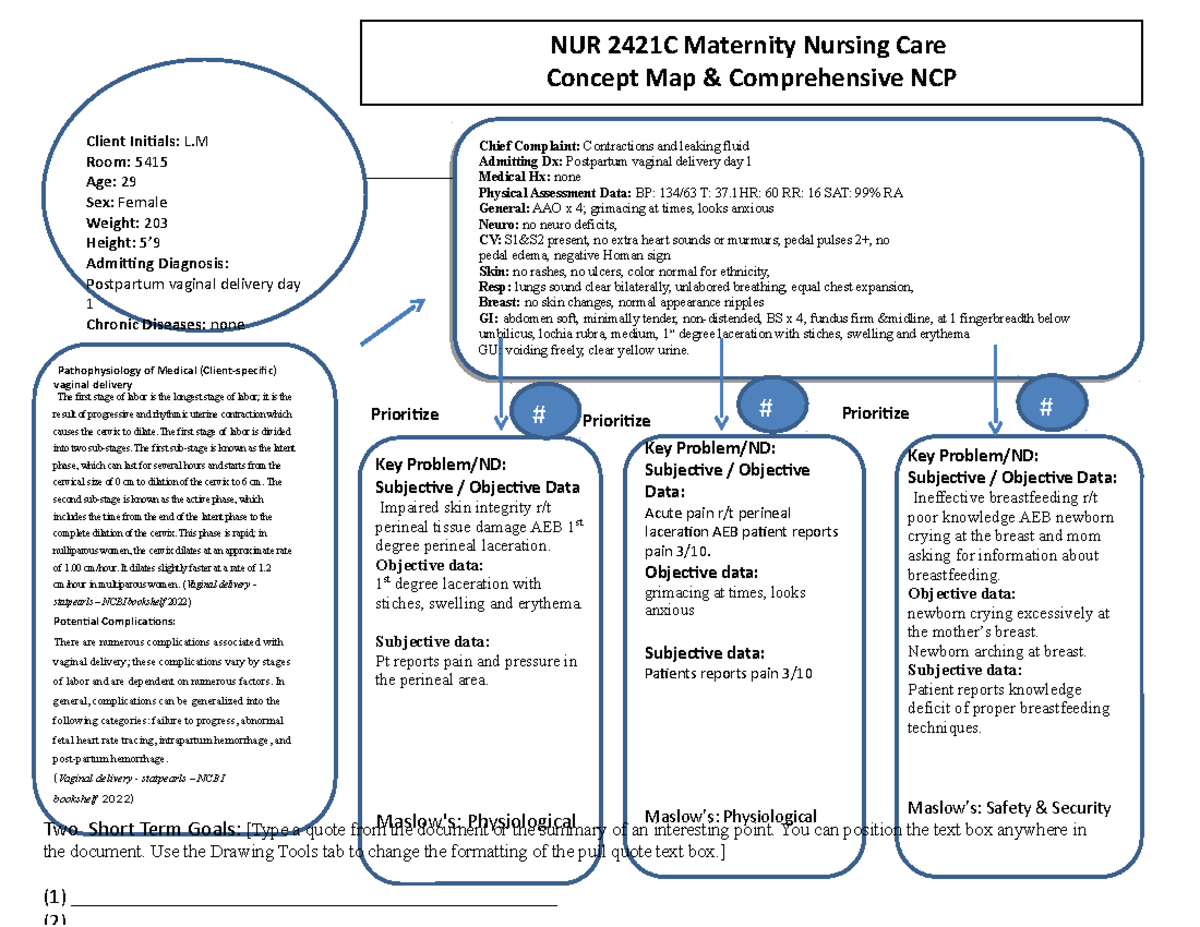 NUR 2421C Maternity Nursing Care Concept Map & NCP Overview - Studocu