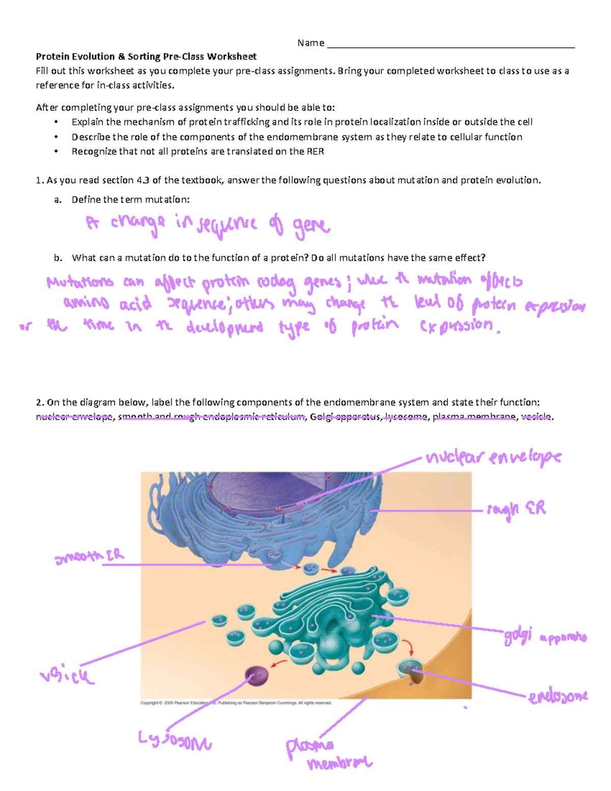 Week 7a Protein Sorting & Trafficking Pre-Class Worksheet 2 - Studocu