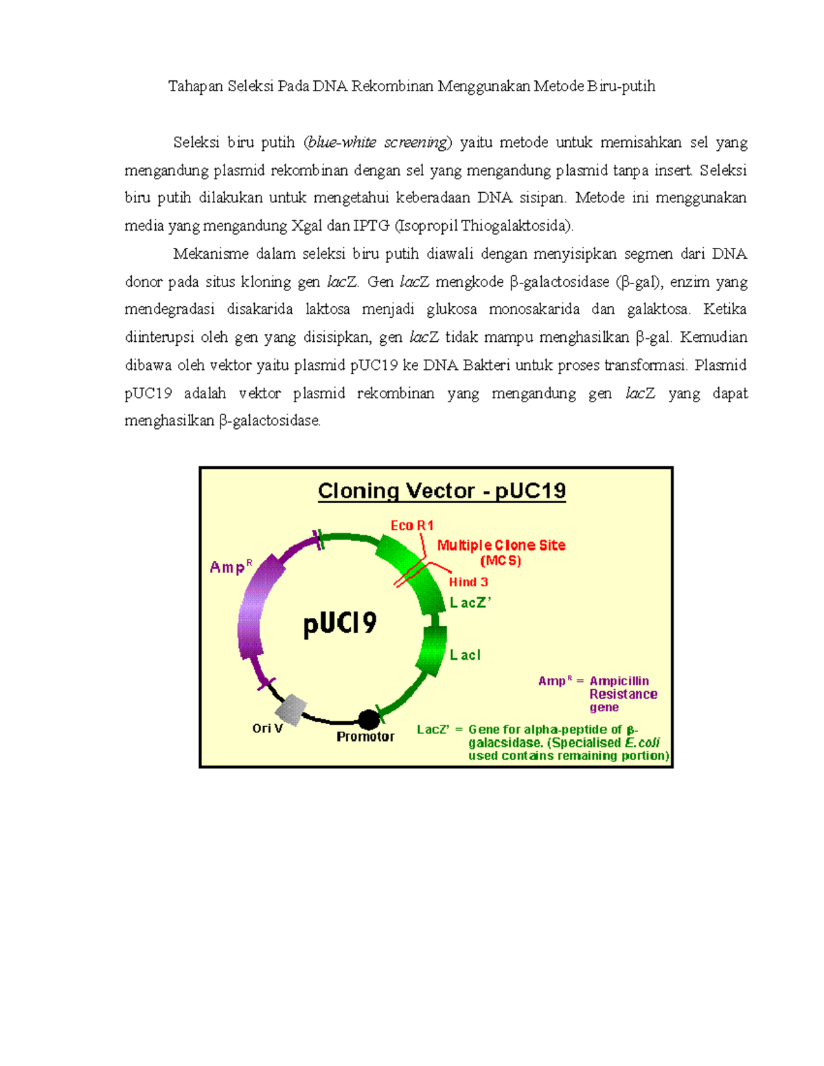 Tahapan Seleksi Biru-Putih Dalam DNA Rekombinan dan Metode PUC19 - Studocu
