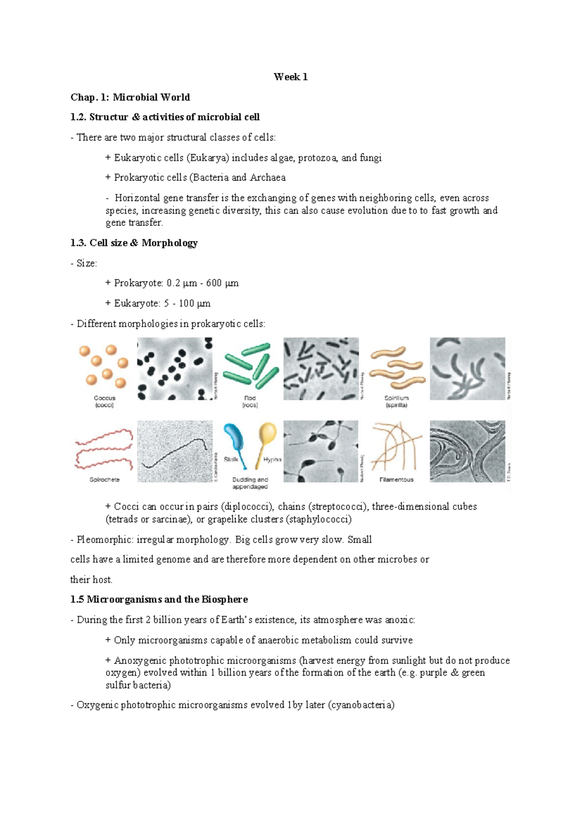 Unit 1 Summary: Microbial World and Cell Structure (BIOL 101) - Studocu