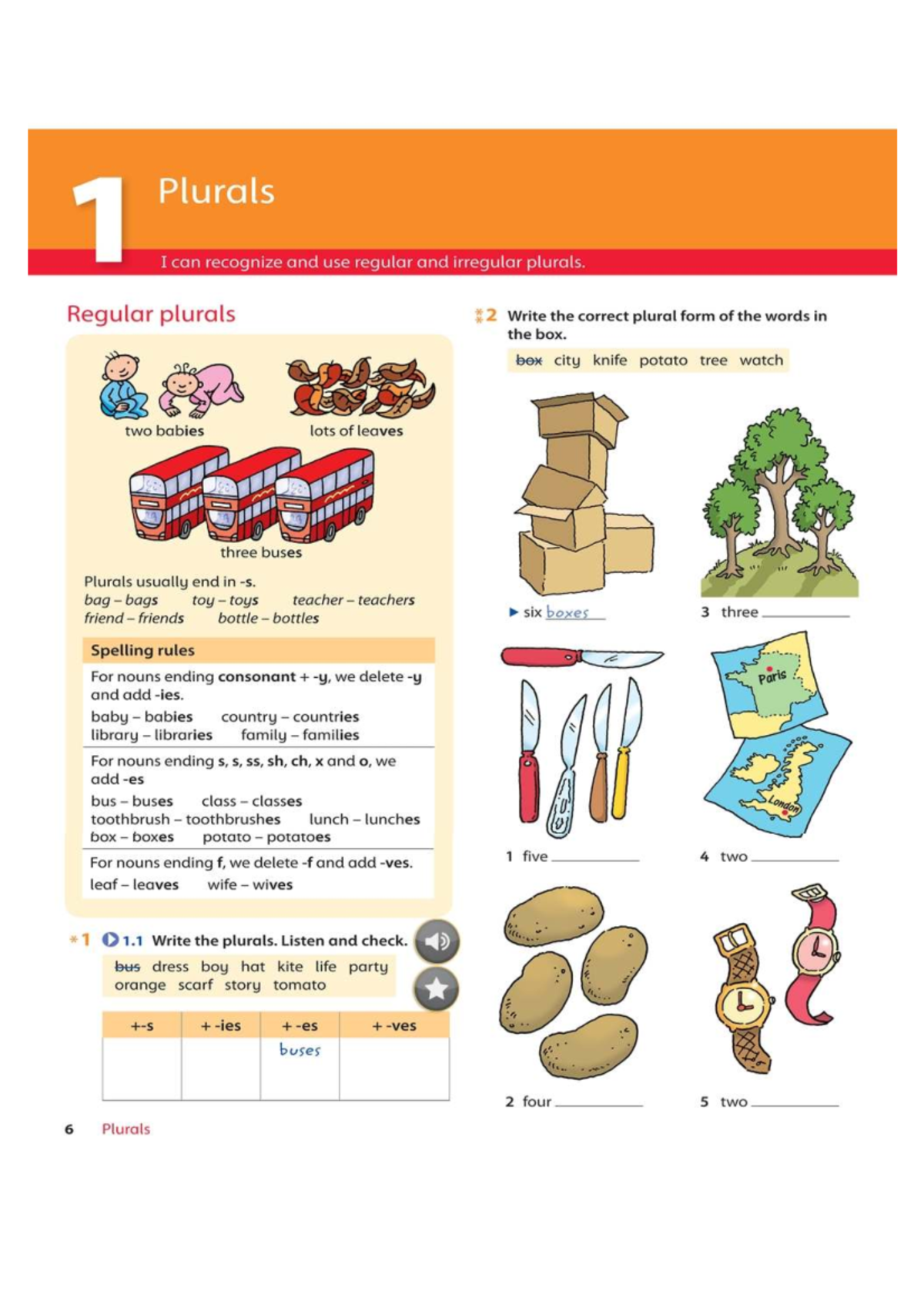 Plurals and Articles: Understanding Regular and Irregular Forms in ...