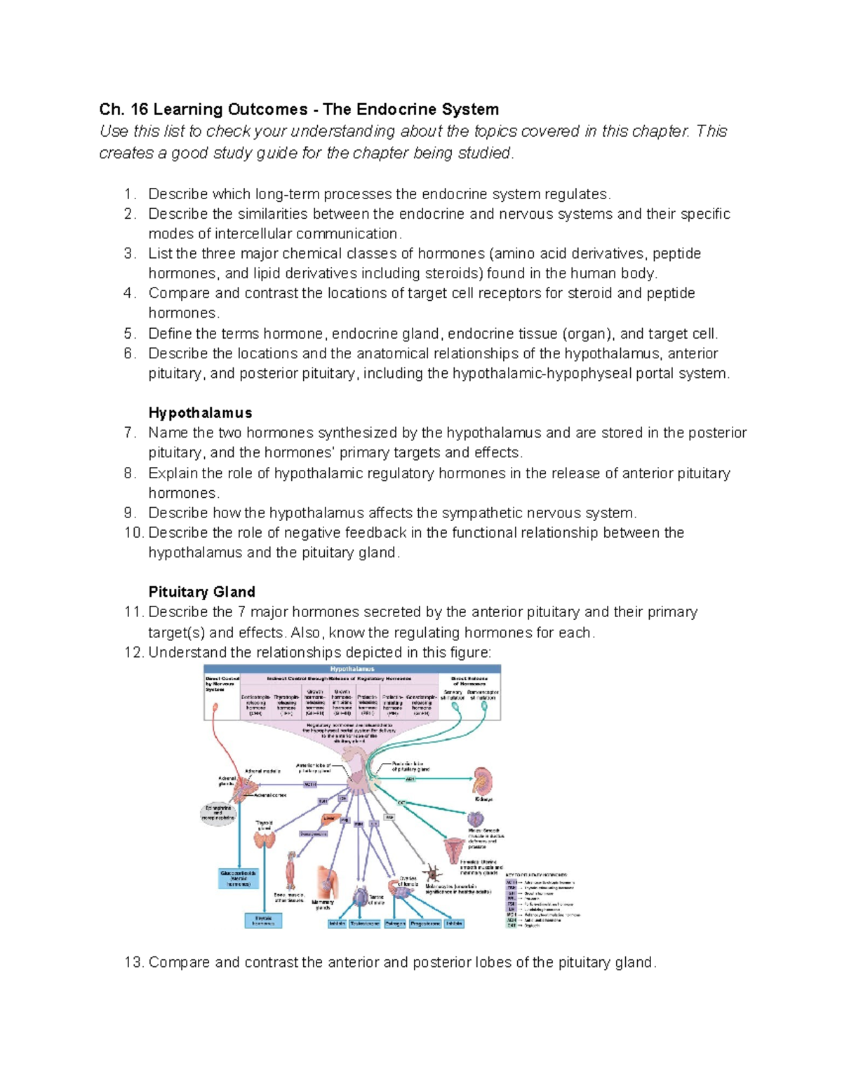 Ch. 16 Endocrine System Learning Outcomes Study Guide - Studocu