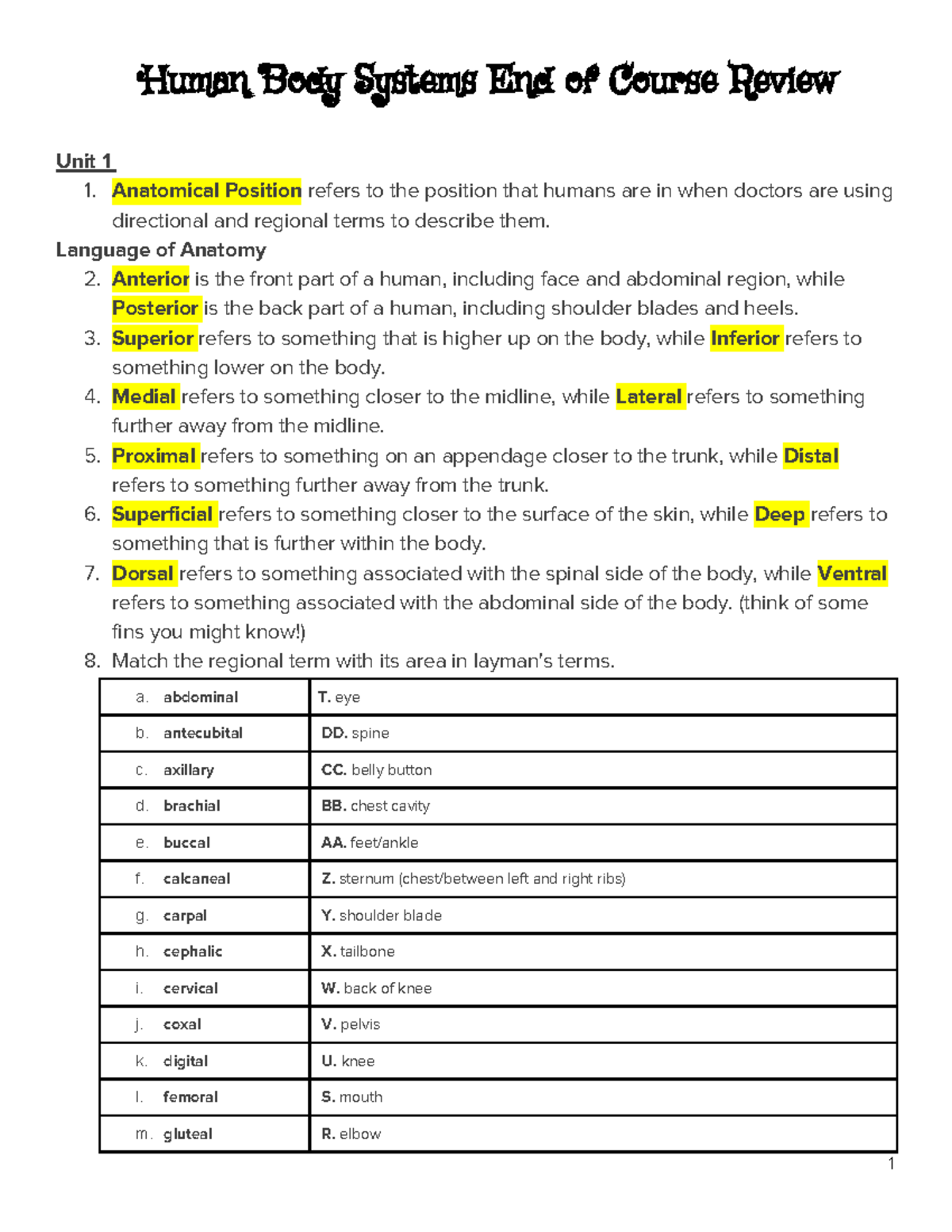 HBS 2024 EOC Study Guide: Human Body Systems Review Notes - Studocu