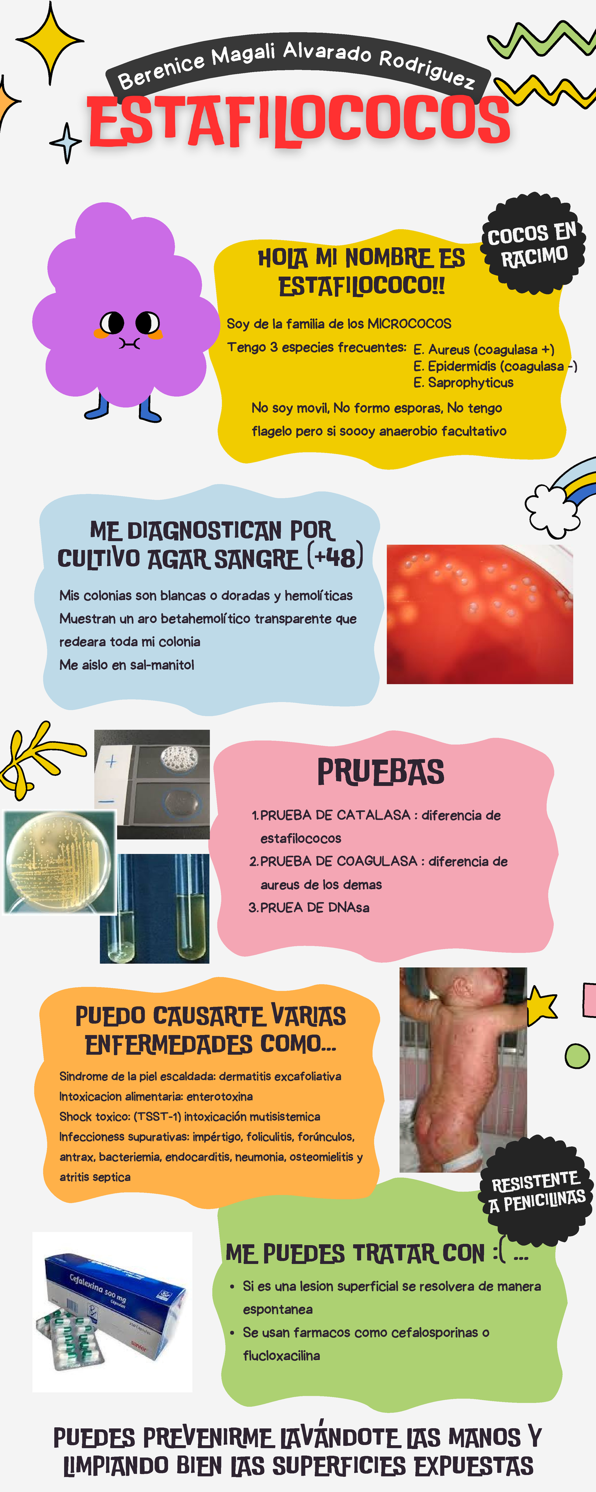 Estafilococos infografia - Soy de la familia de los MICROCOCOS Tengo 3 ...