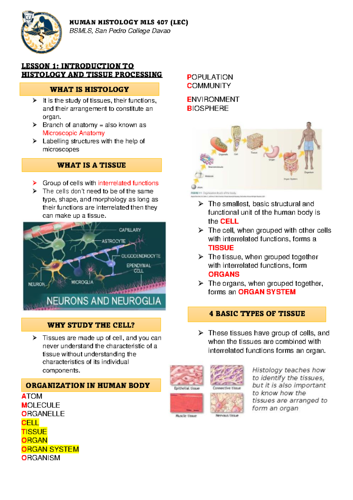 HISTOLOGY LEC 407: INTRO TO HISTOLOGY & TISSUE PROCESSING NOTES - Studocu