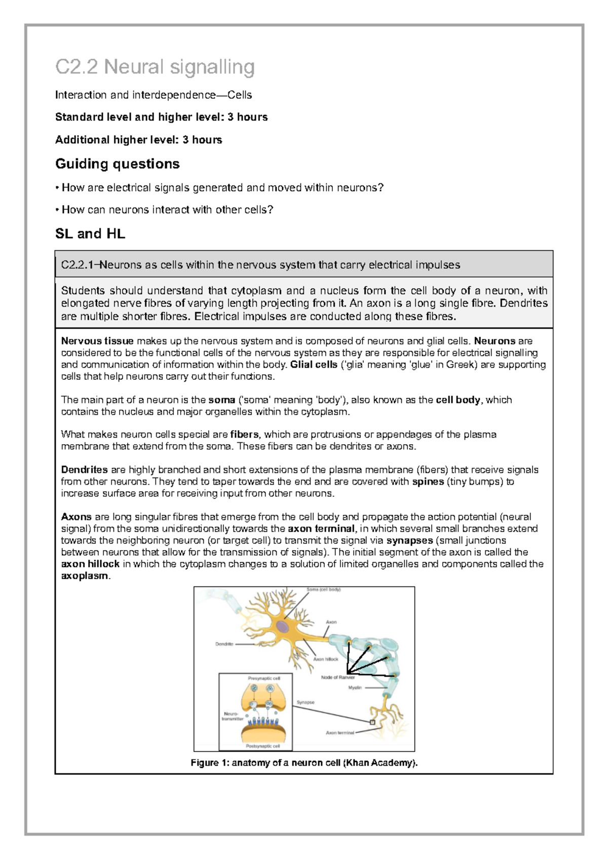 C2.2 Neural Signalling: Mechanisms and Functions in Neurons - Studocu