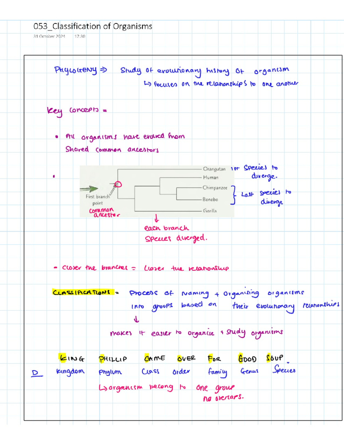 Classification of Organisms - Notes (053) - Studocu