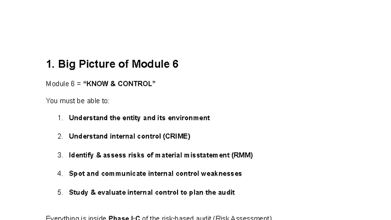 Module 6 - Risk Assessment and Internal Control Notes - Studocu