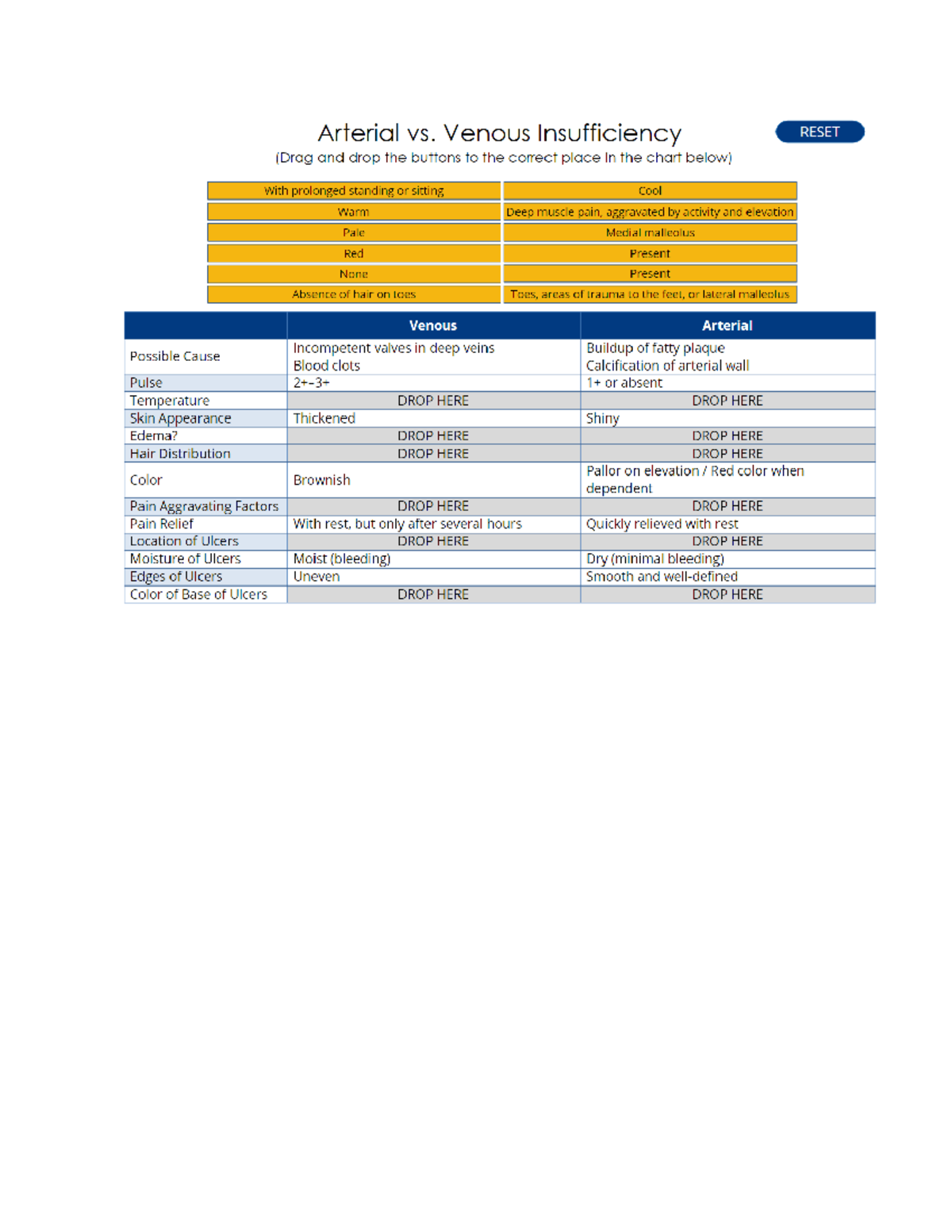 Arterial venous insuf chart - Arterial VS. Venous Insufficiency RESET ...