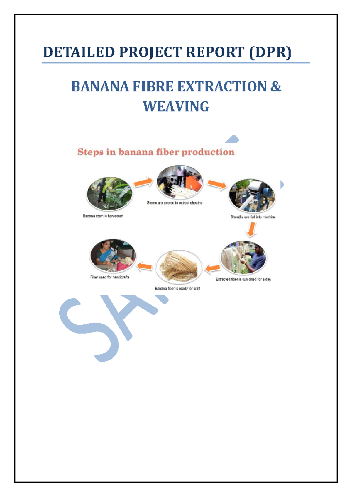 06180405202 - Haha - DETAILED PROJECT REPORT (DPR) BANANA FIBRE ...