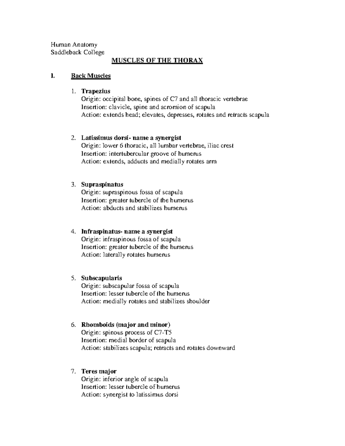 Muscle Anatomy Study Guide: Human Body Origins & Actions - Studocu