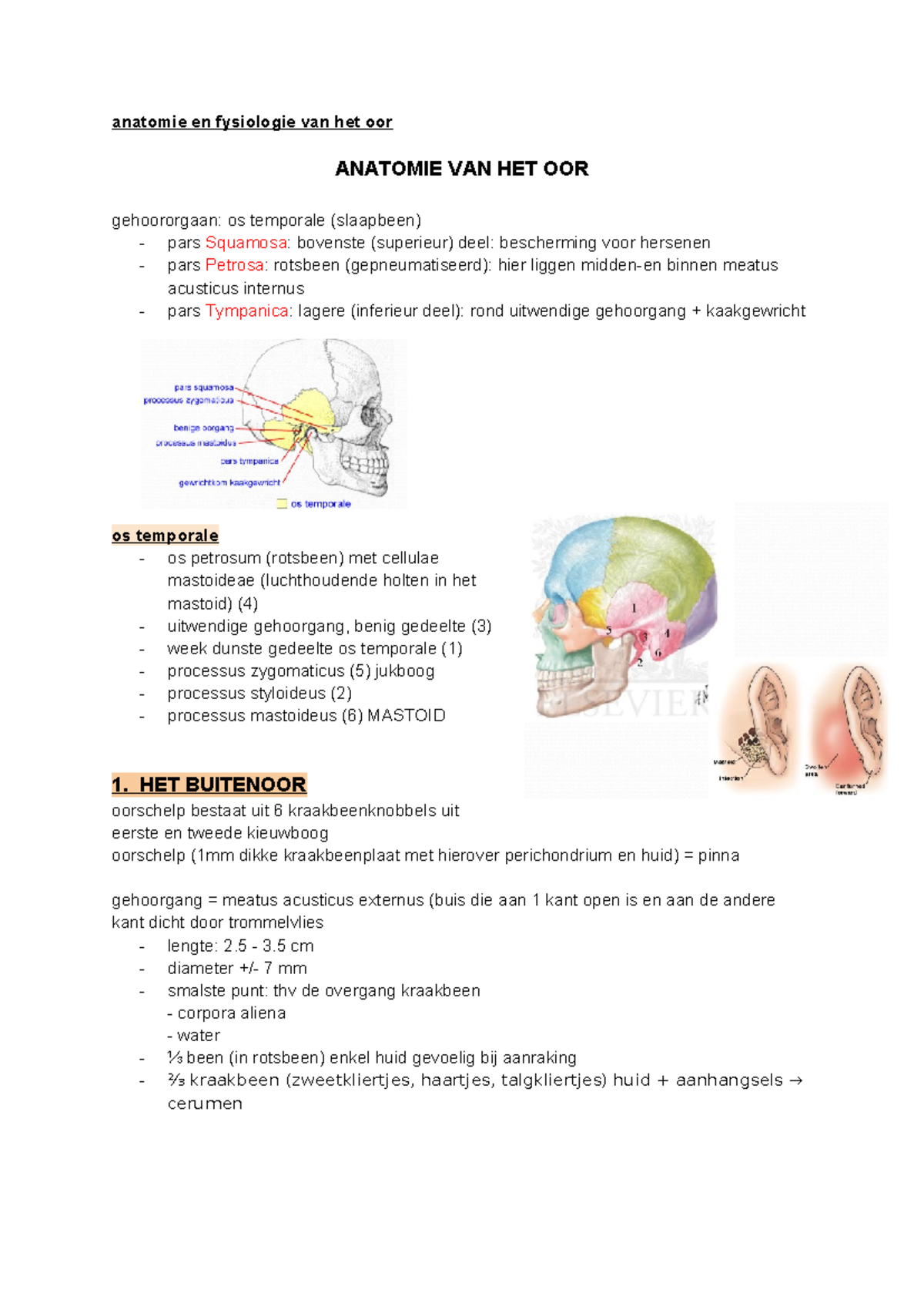 Anatomie en fysiologie van het oor - anatomie en fysiologie van het oor ...