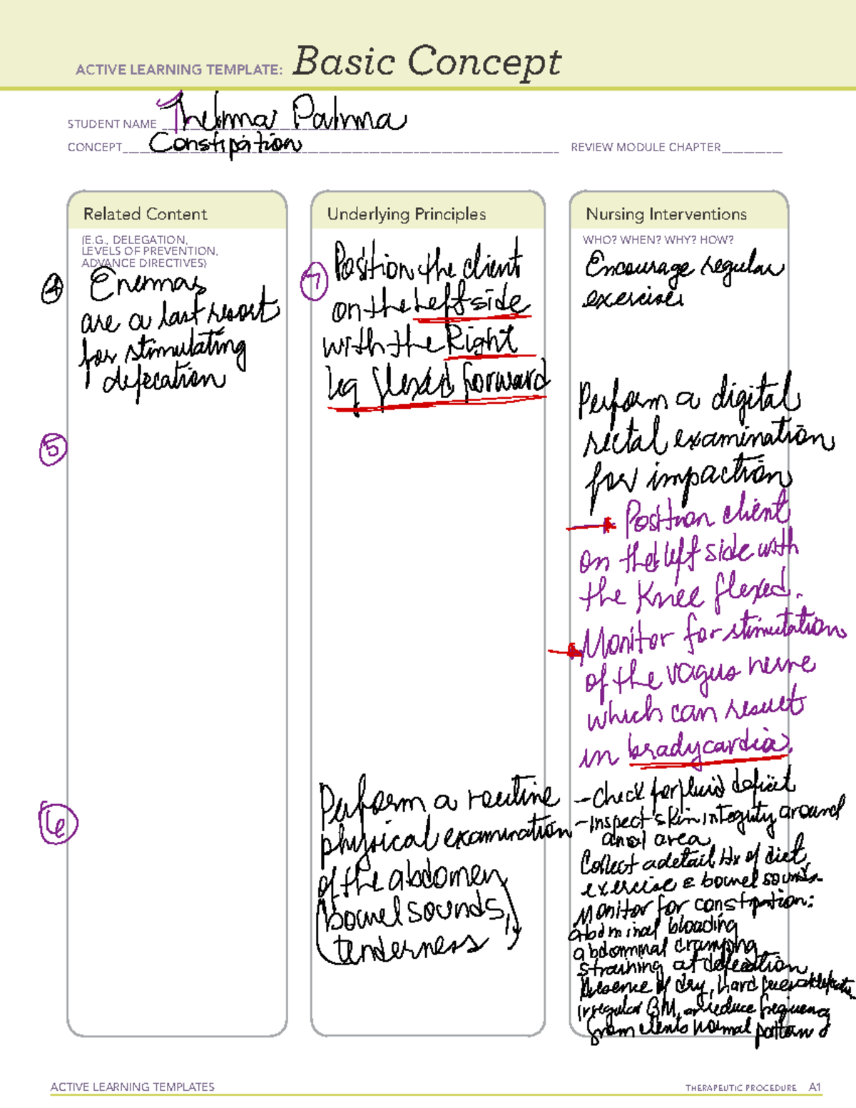 ACTIVE LEARNING TEMPLATE: Constipation Concept Review - Assignment ...