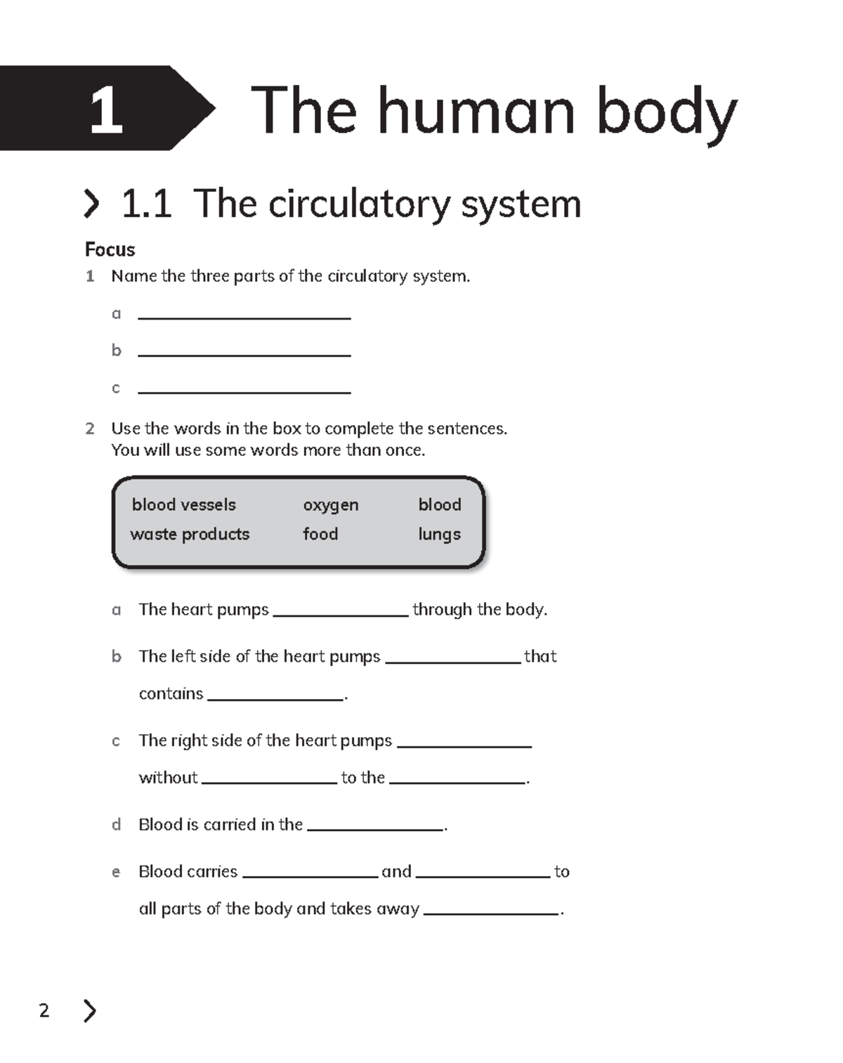 Primary Science WB6 Lesson Notes: Circulatory, Respiratory, & Diseases ...