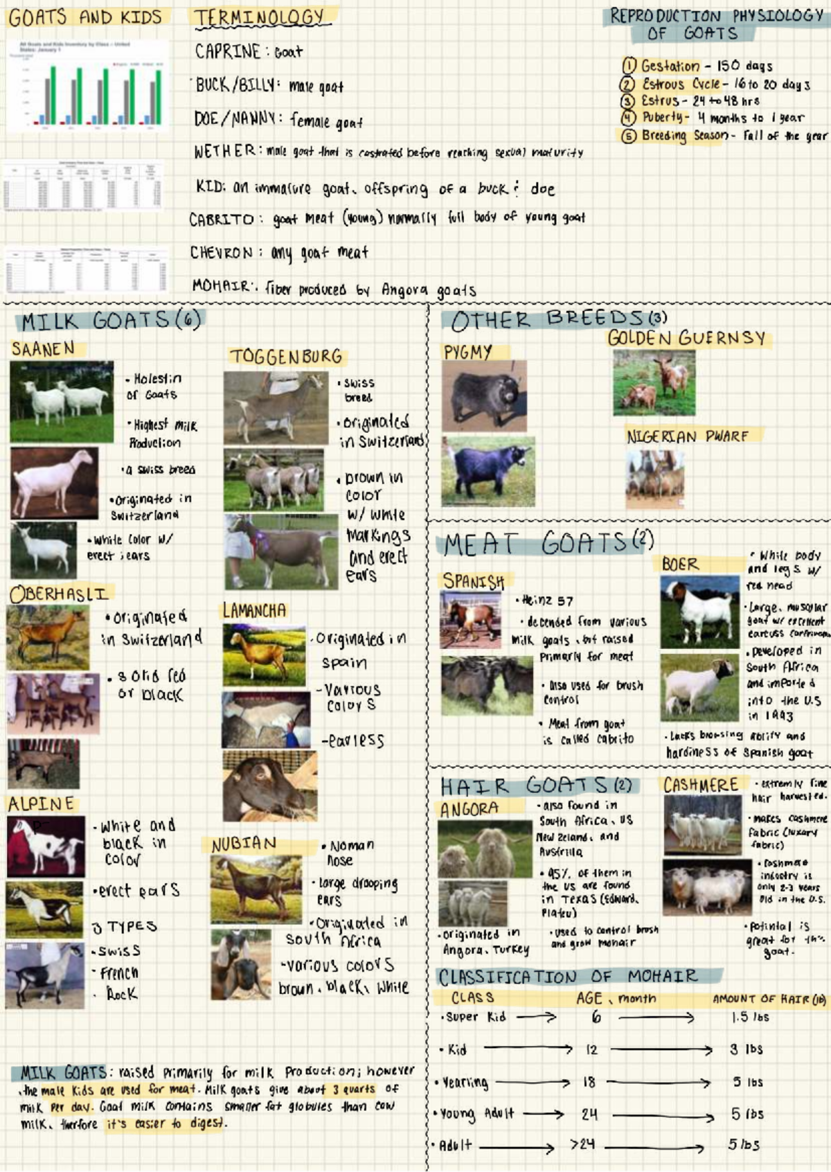 GOATS 101: Terminology & Physiology of Goat Breeds - Studocu
