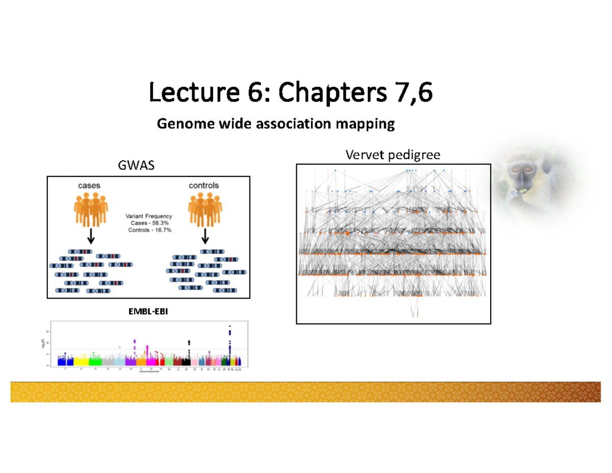 ANSC 3213 2024 Genetics Lecture 6: Pedigree Analysis and GWAS - Genome ...