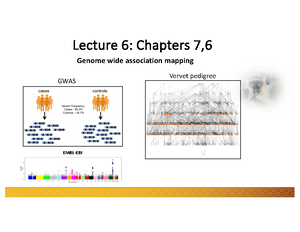 ANSC 3213 2024 Chapter 7 Lecture 3: Genetics and Recombination Analysis ...