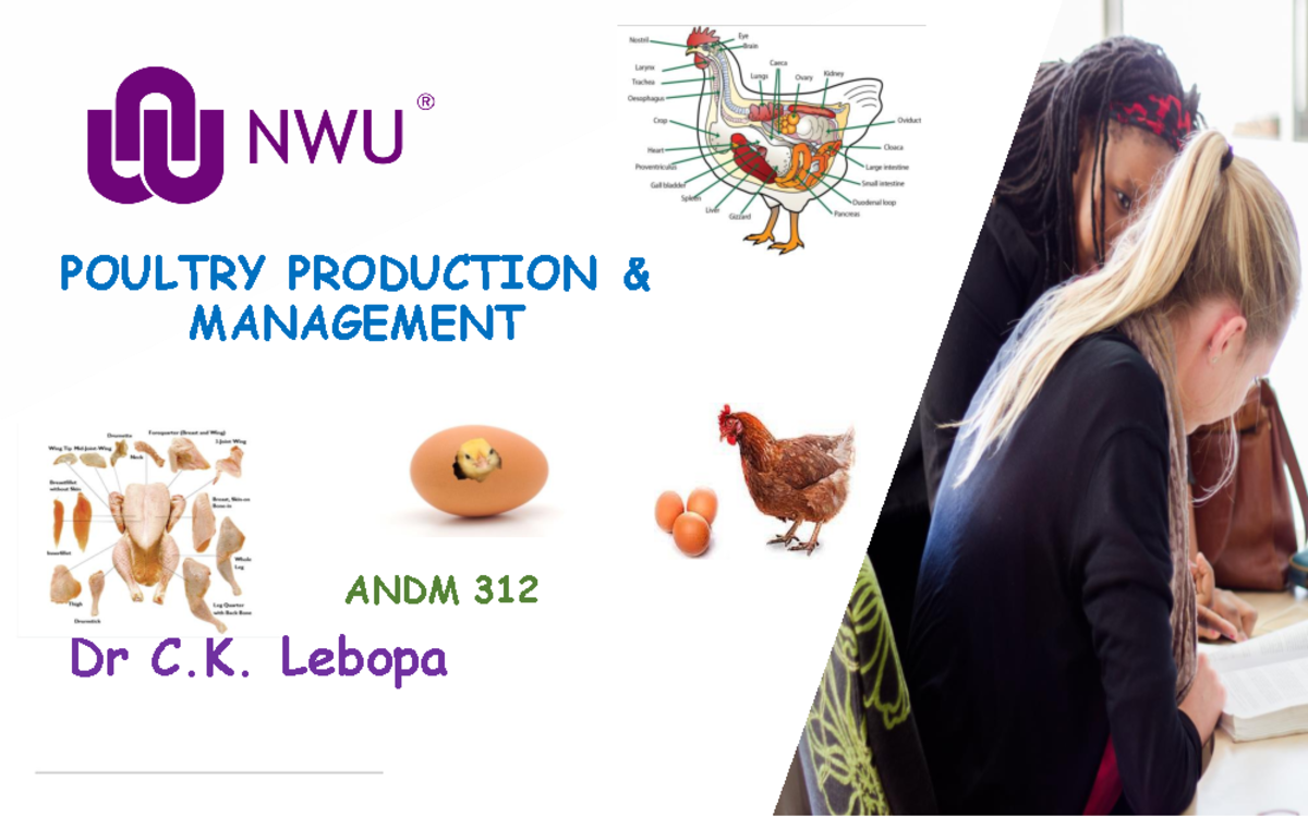Poultry Production & Management: ANDM 312 Study Unit 1 Overview - Studocu