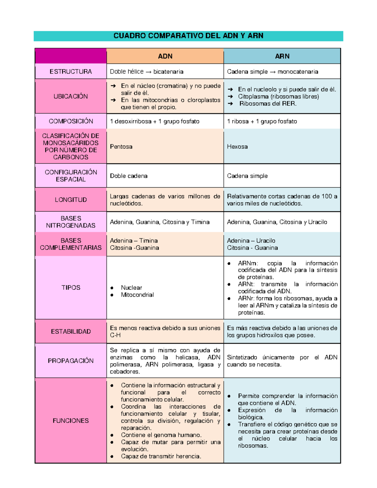 Diferencias Entre Adn Y Arn Cuadro Comparativo Notas De Biologa