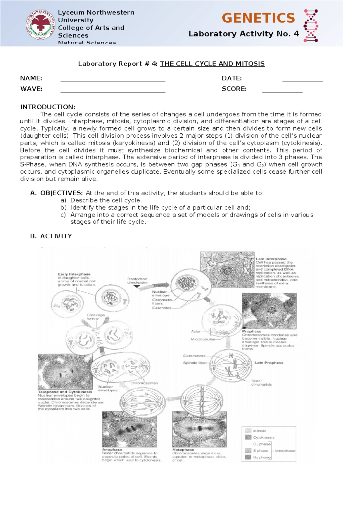 Activity #2: Engaging in Edible Cell Model Creation Challenge - Studocu