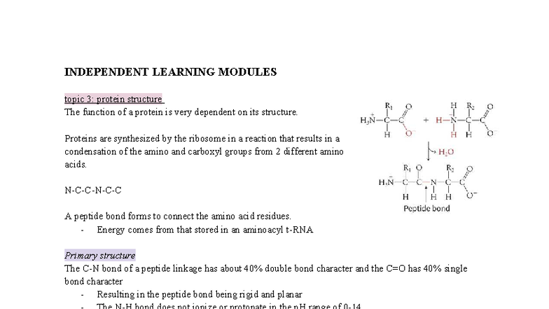 Biochem 2280A Midterm Notes: Protein Structure & Enzyme Kinetics - Studocu