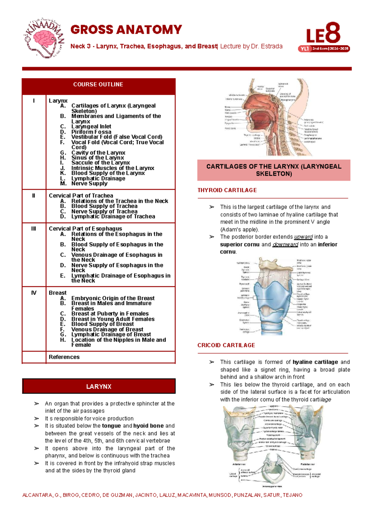 Neck 3 Lecture: Larynx, Trachea, Esophagus, and Breast Overview - Studocu
