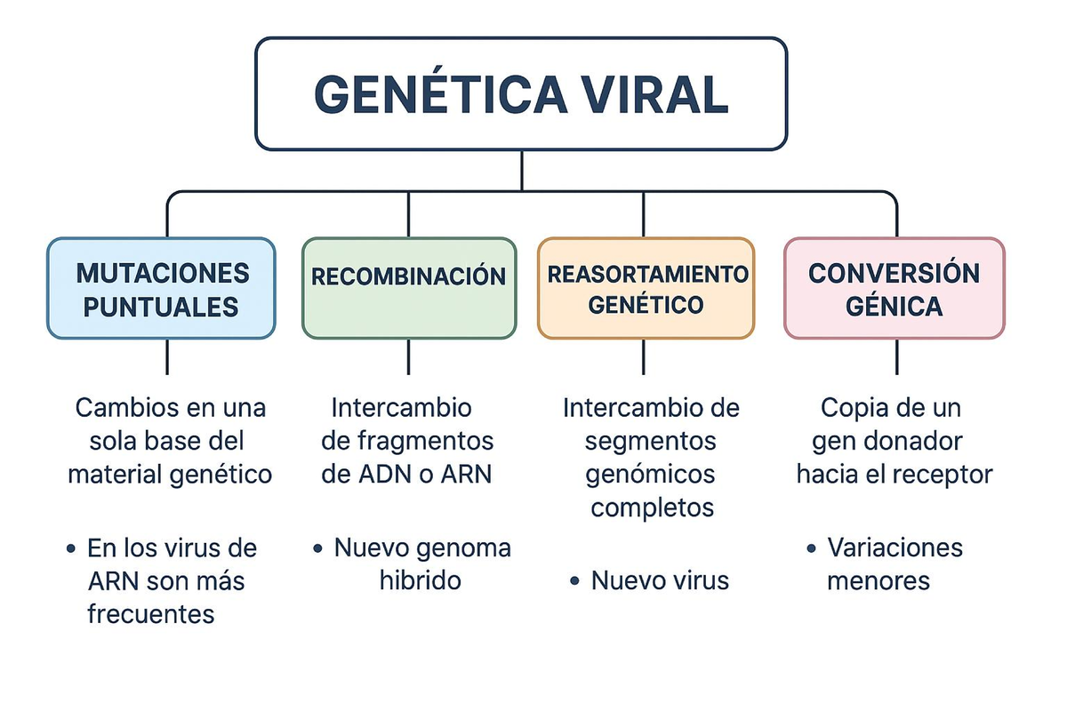Mapa conceptual Genetica Viral - Proceso de atencencion enfermera ...