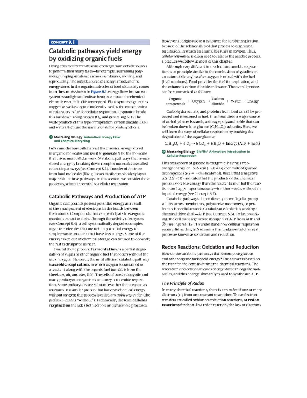 Comprehensive Study Notes on Cellular Respiration (BIO 101) - Studocu