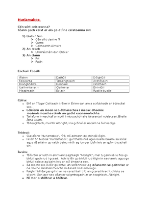 Hurlamaboc Sample Answer LC OL 2019: Analysis of Characters & Themes ...