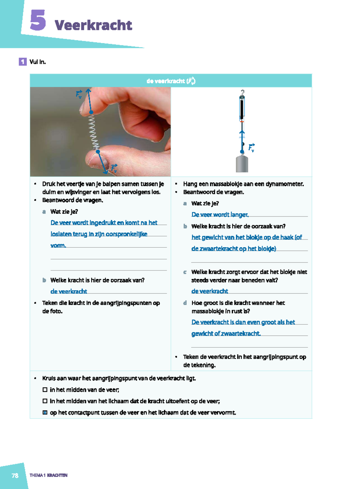 5. Veerkracht: Onderzoek naar de Kracht en Uitrekking van een Veer ...