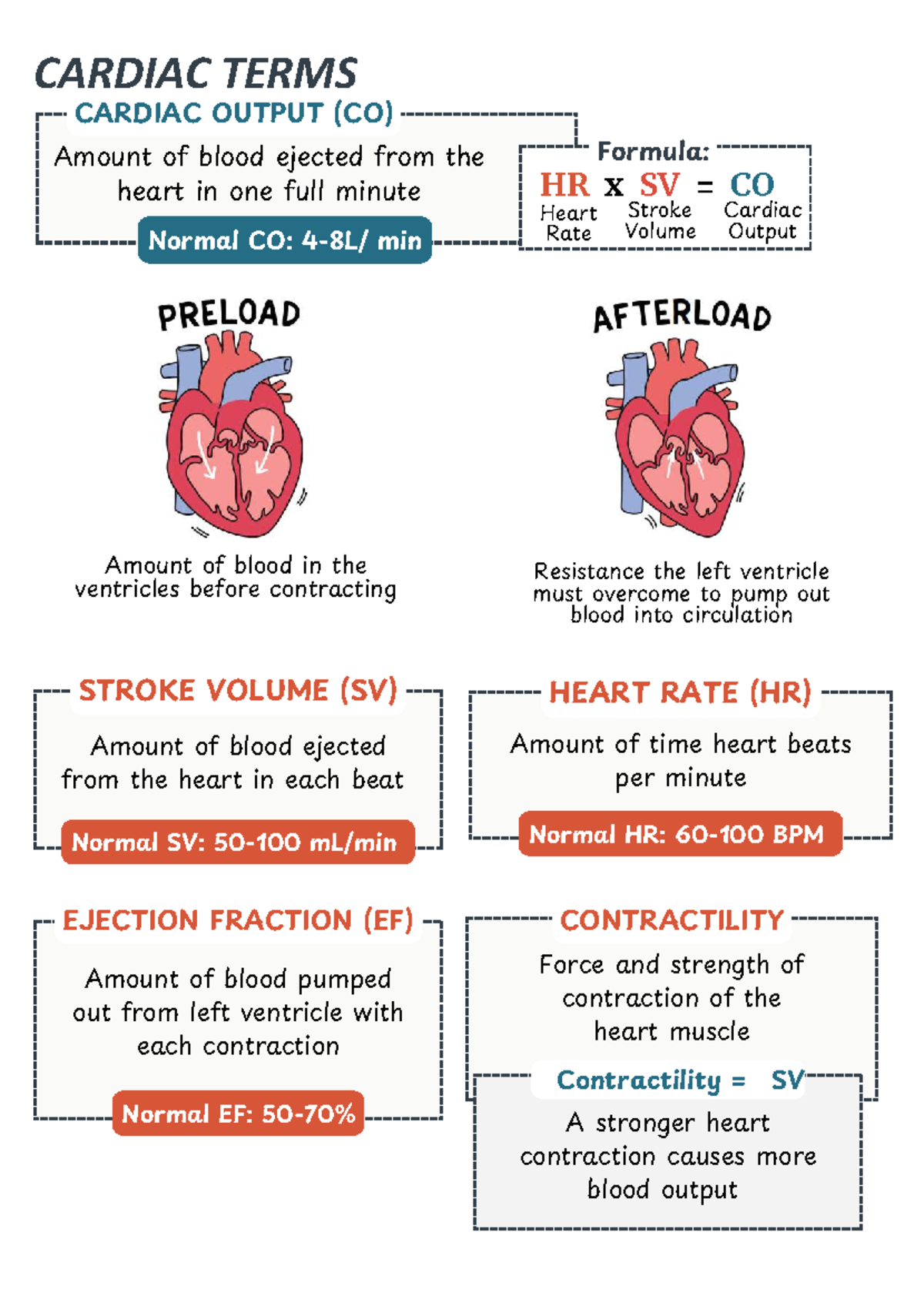 CARDIAC SYSTEM: Key Terms & Concepts (CO, SV, HR, EF) - Studocu