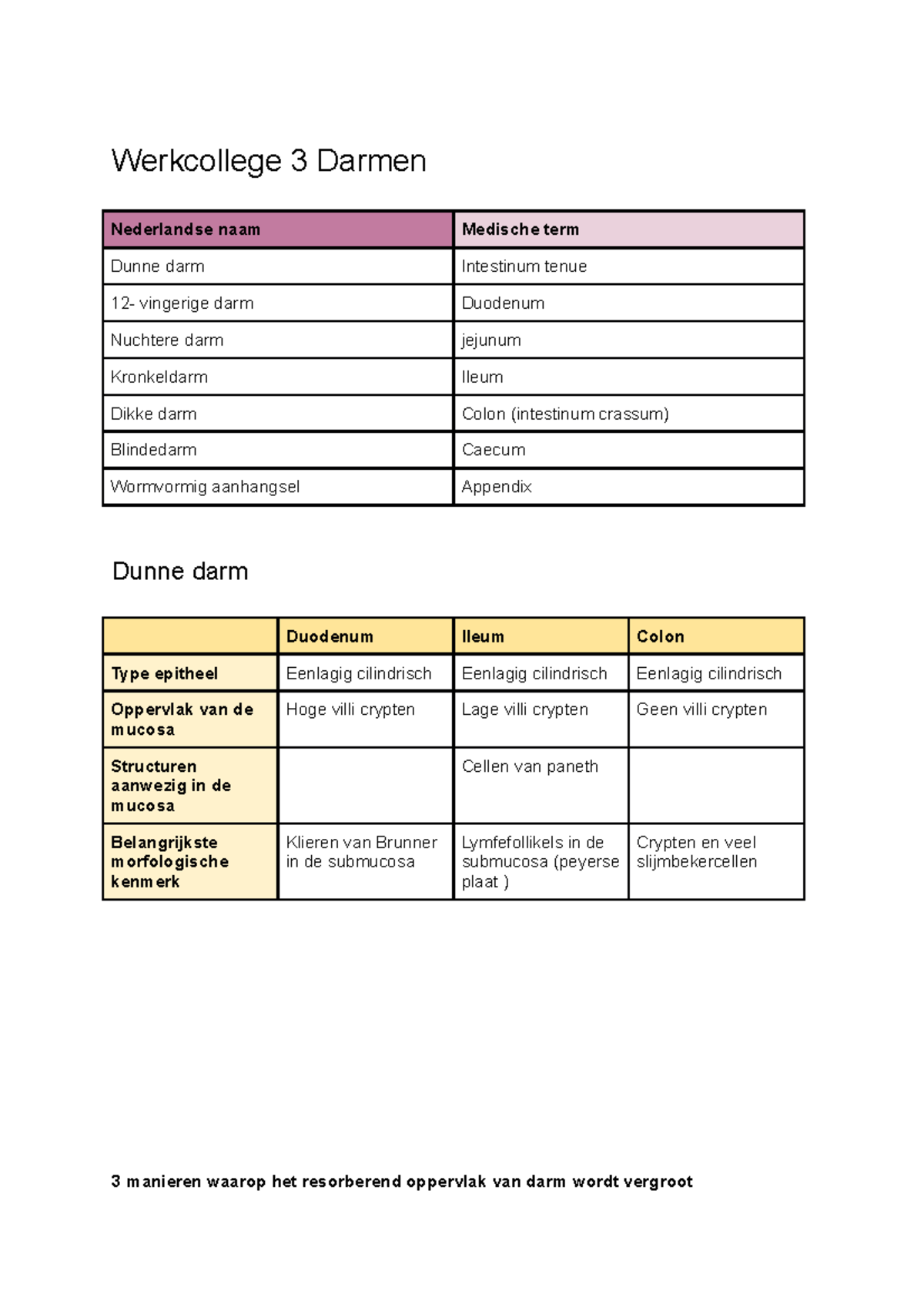 Werkcollege 3: Anatomie en Functie van de Darmen - Studeersnel