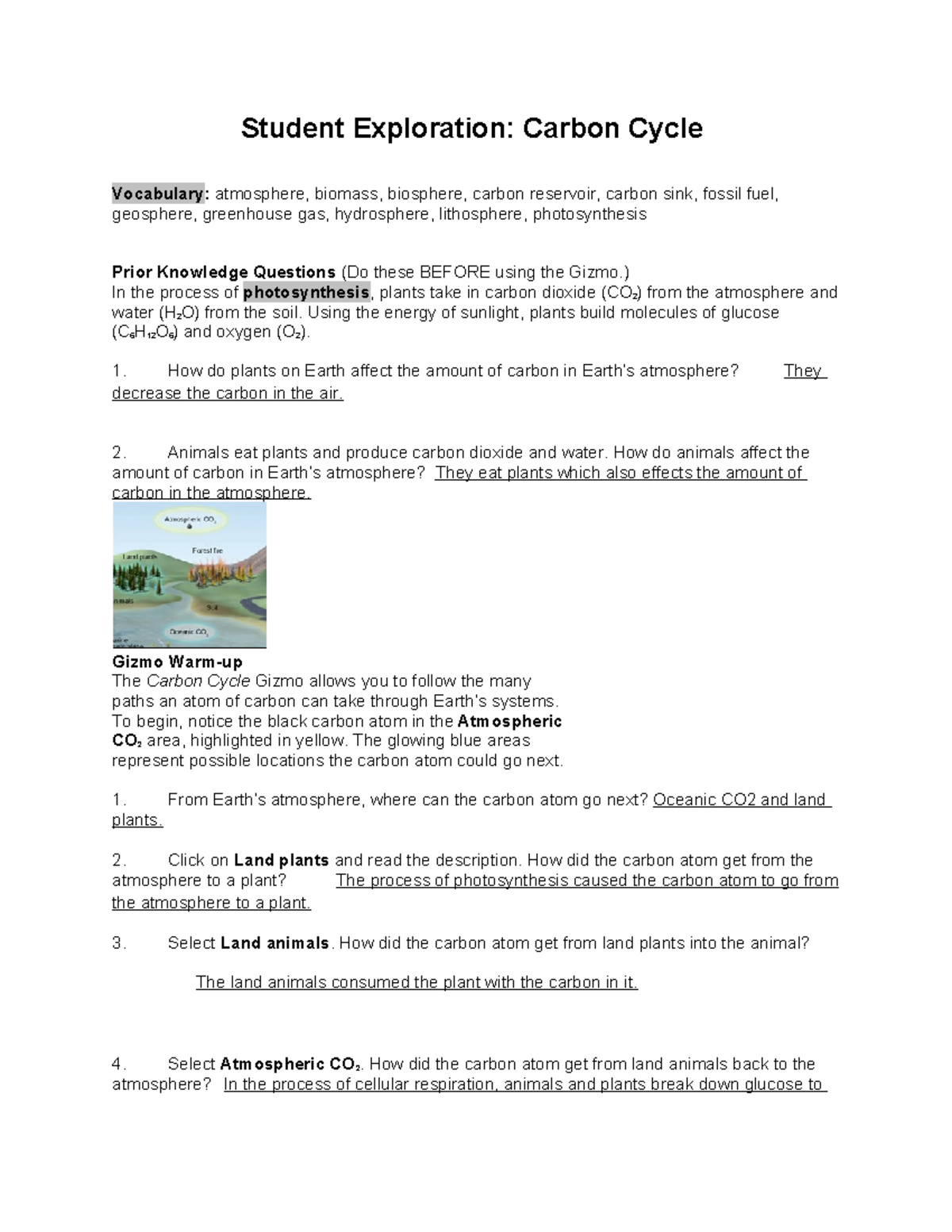 Student Exploration - ) In the process of photosynthesis, plants take ...