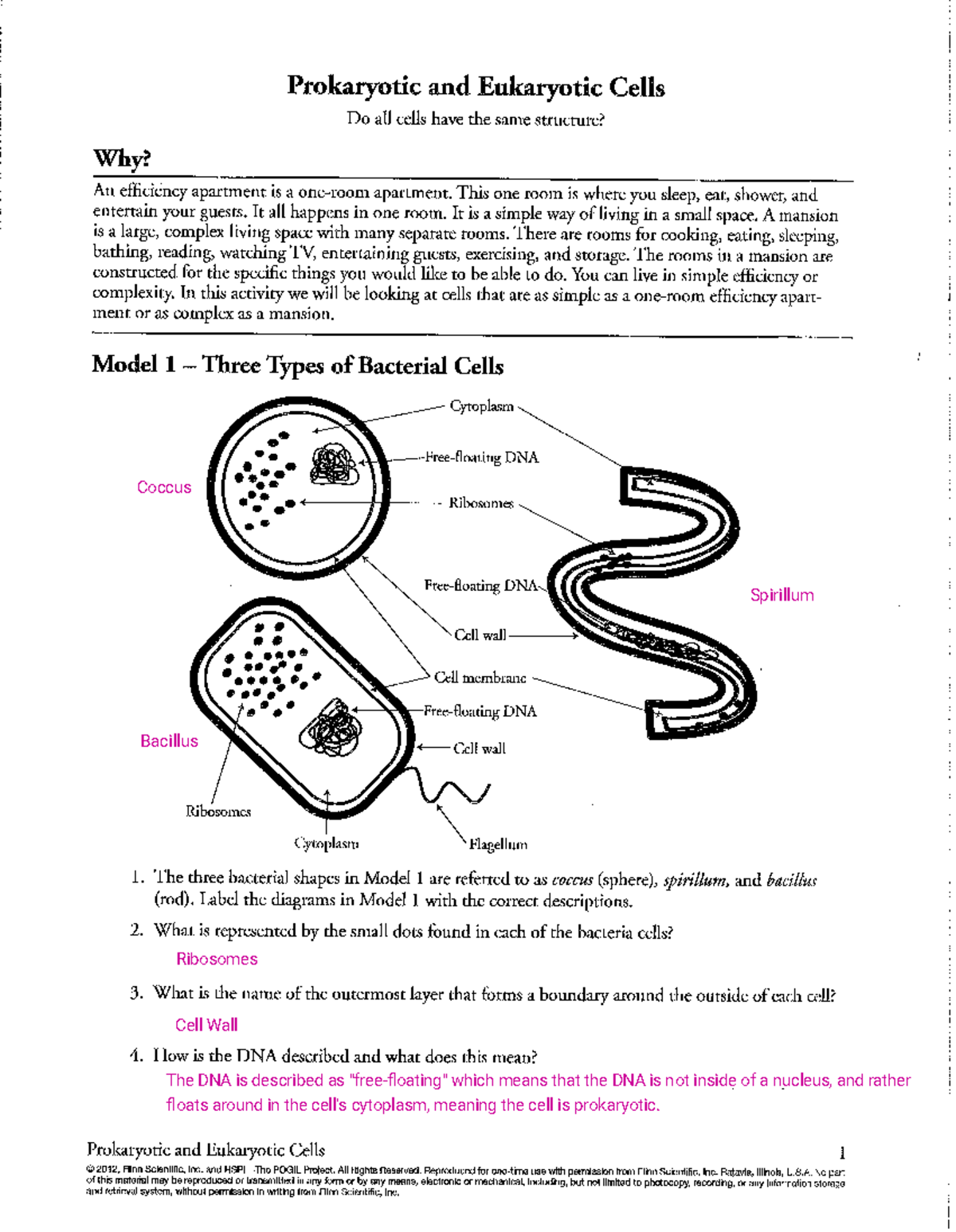 Understanding Prokaryotic and Eukaryotic Cells: A POGIL Approach - Studocu
