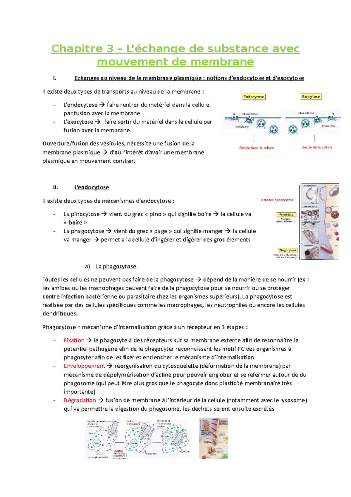 Chapitre 3 - Échanges de substances et mouvements de membrane - Studocu