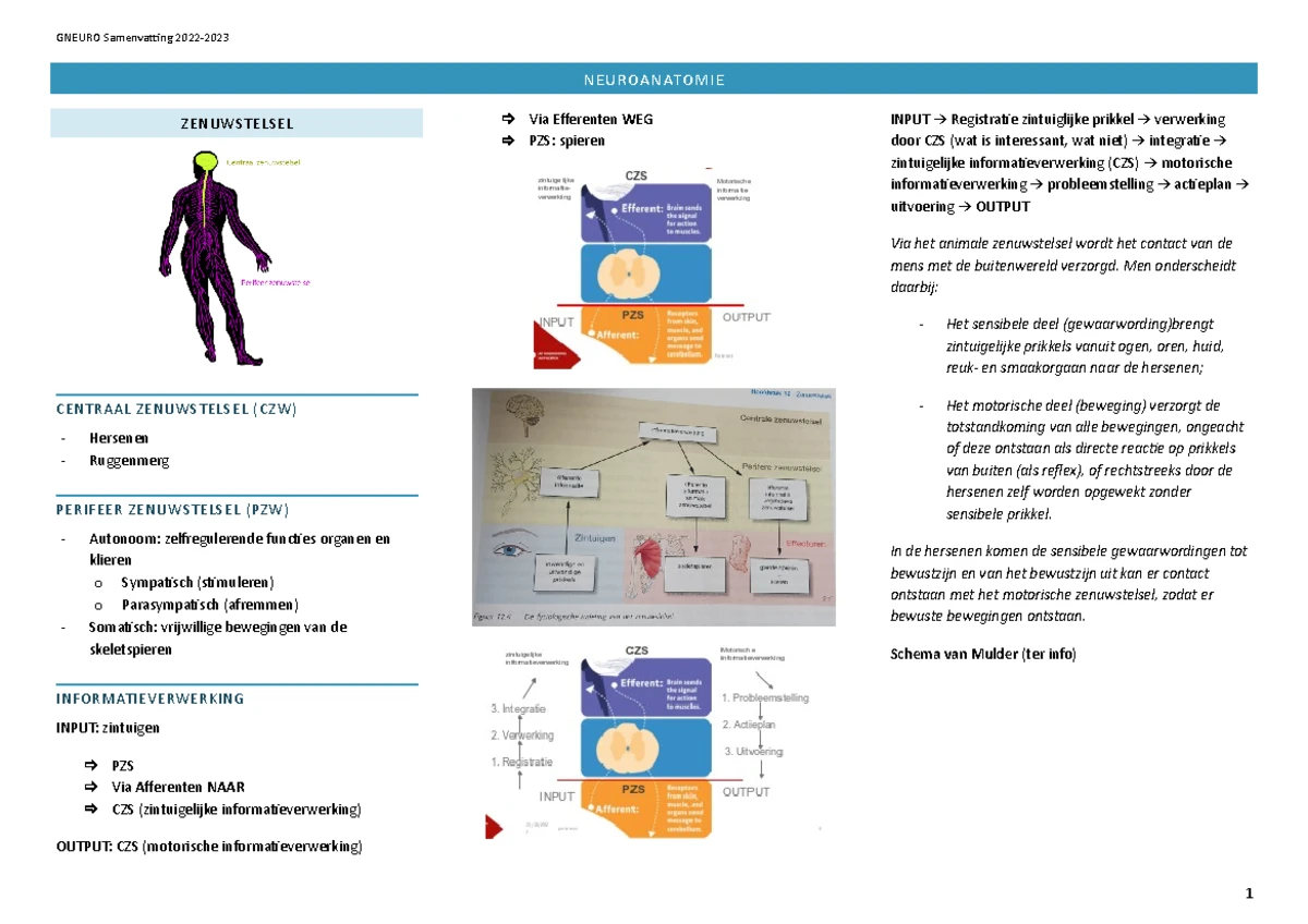 Visuospatiale & Constructieve Vaardigheden: Analyse en Stoornissen ...