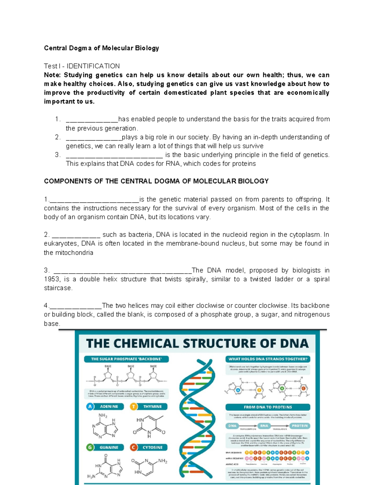 Bio-Pointers - biology reviewer for 12th grade - Central Dogma of ...