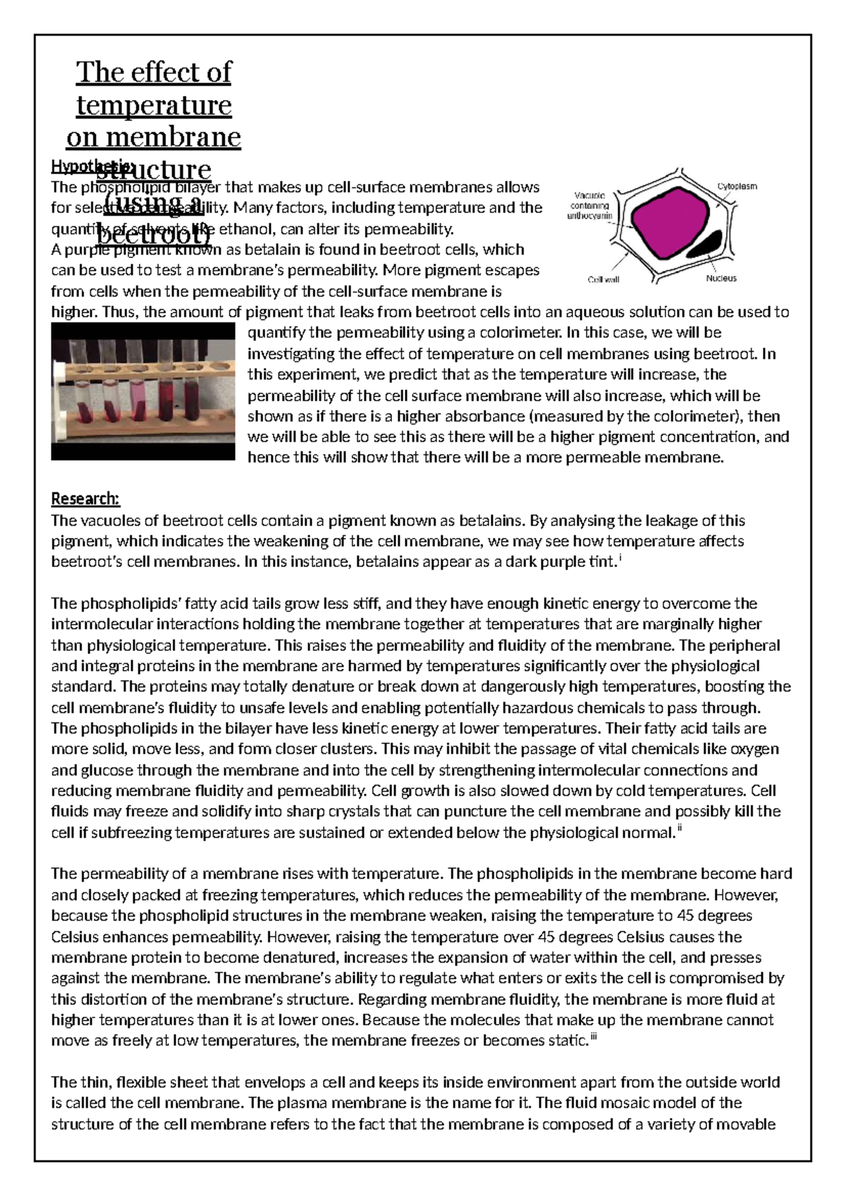Biology 101: Investigating Temperature Effects on Beetroot Membrane ...