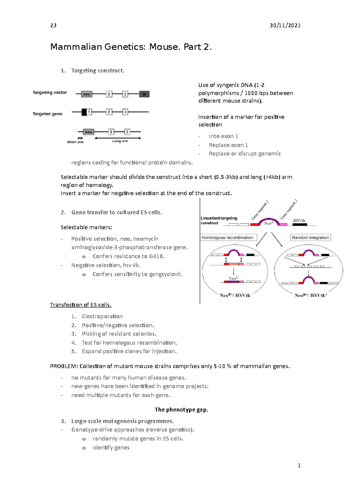 Mammalian Genetics (23): Advanced Mouse Mutagenesis Strategies (Part 2 ...