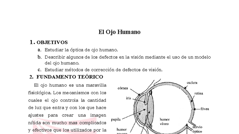 S-14 Laboratorio: Estudio de la Óptica y Defectos del Ojo Humano - Studocu
