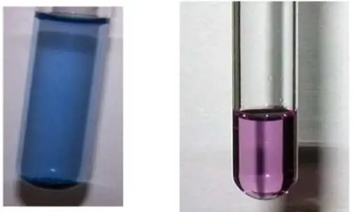 Experiment 5: Lab Guide on Protein Denaturation & Color Reactions - Studocu