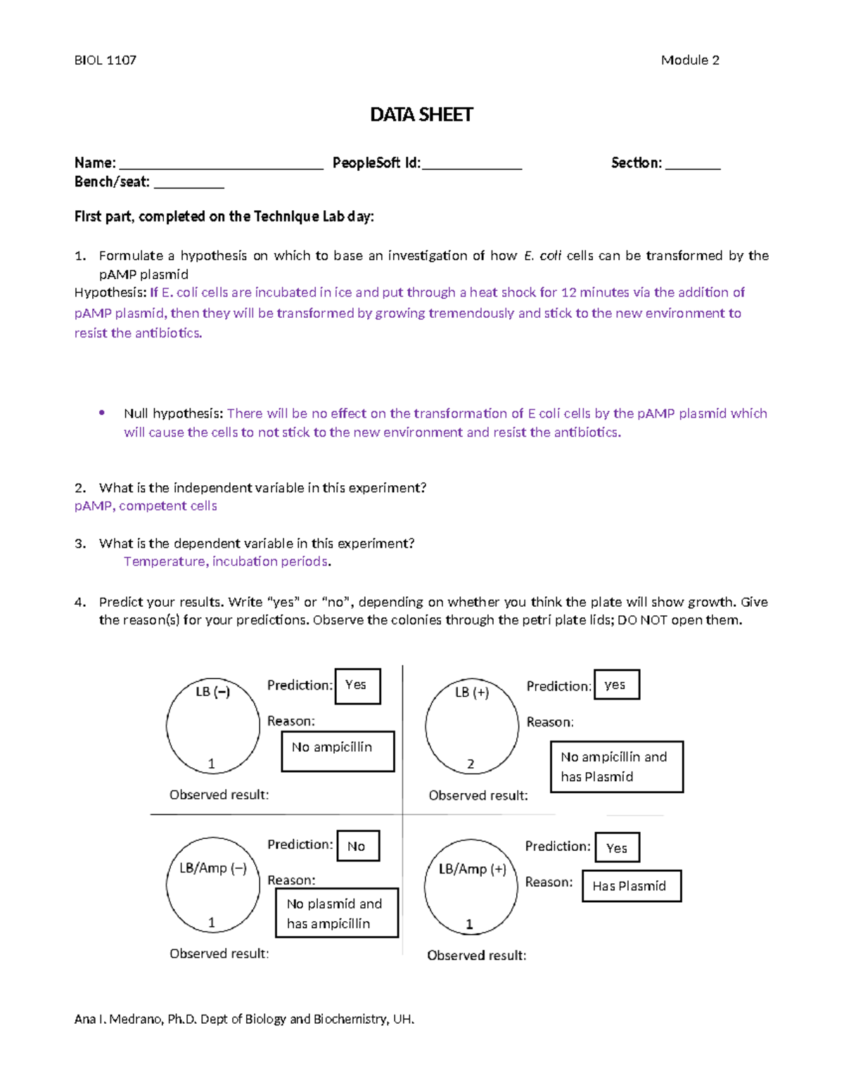 BIOL 1107 Module 2: Data Sheet for Experiment 2 on E. coli ...
